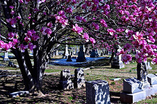 Cave Hill Cemetery - Home