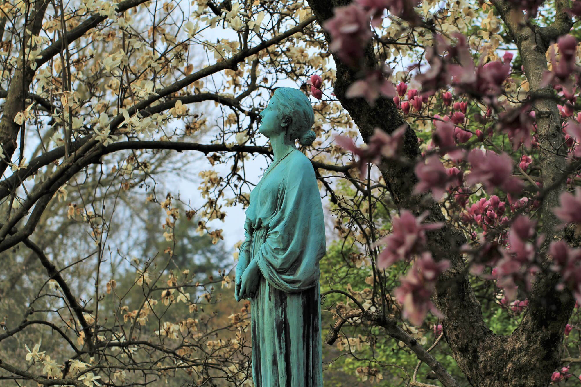 Cave Hill Cemetery - Home