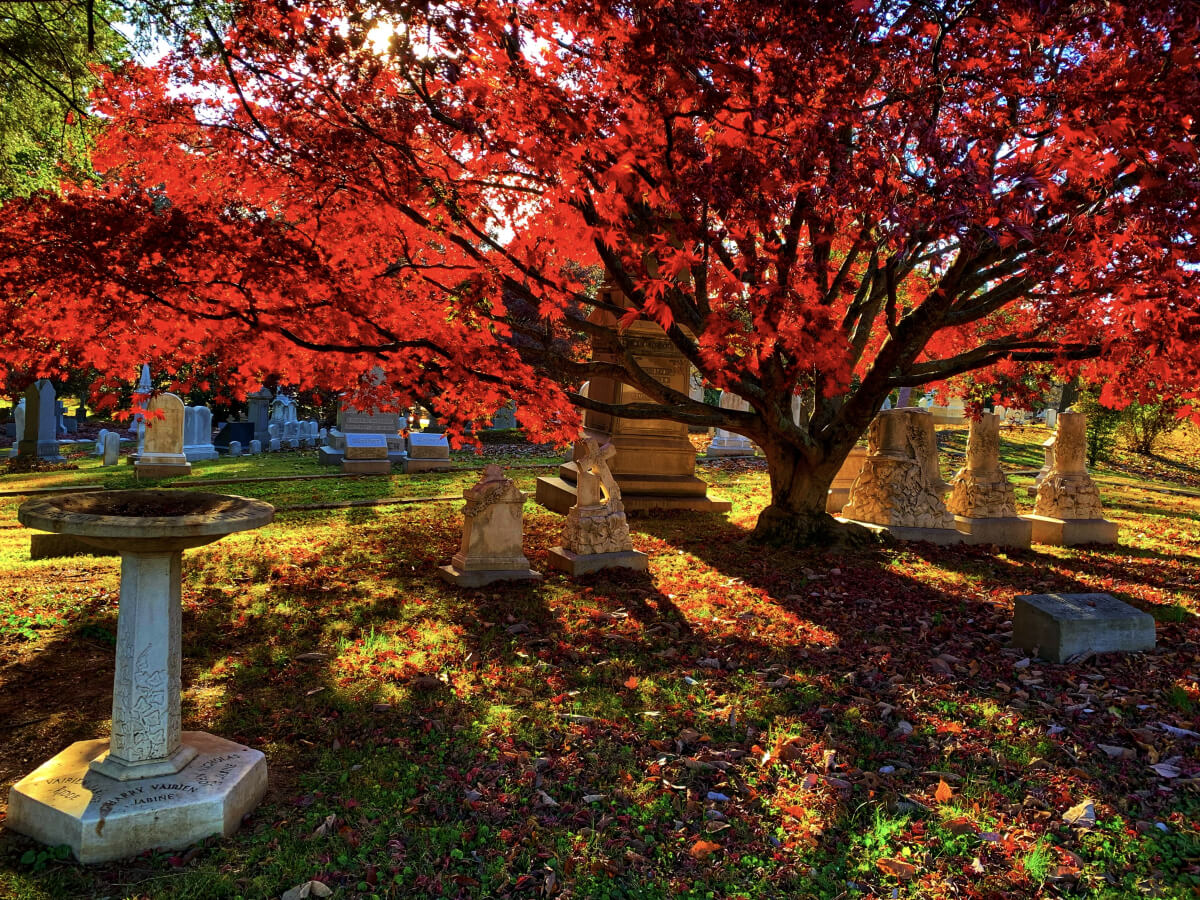 Cave Hill Cemetery - Image Gallery