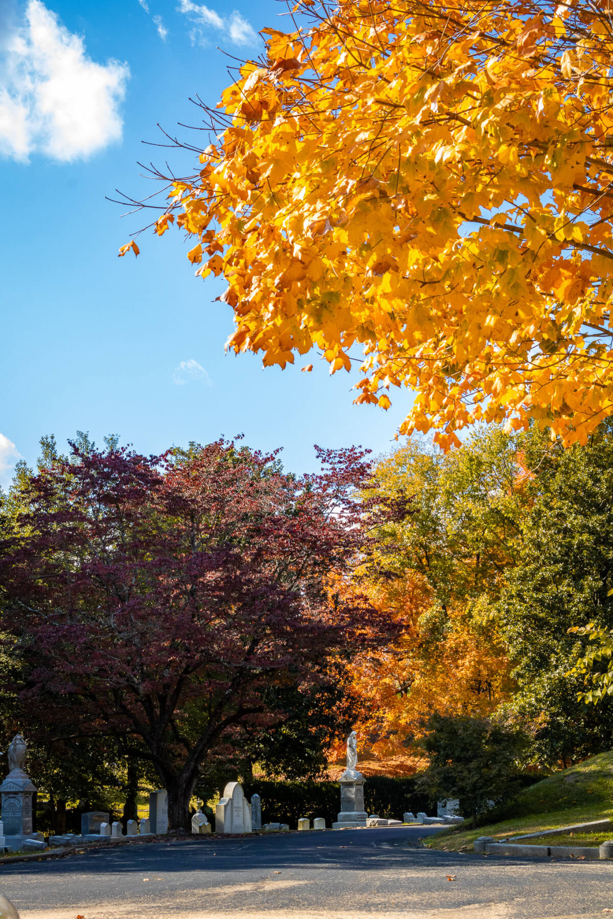 Cave Hill Cemetery - Image Gallery