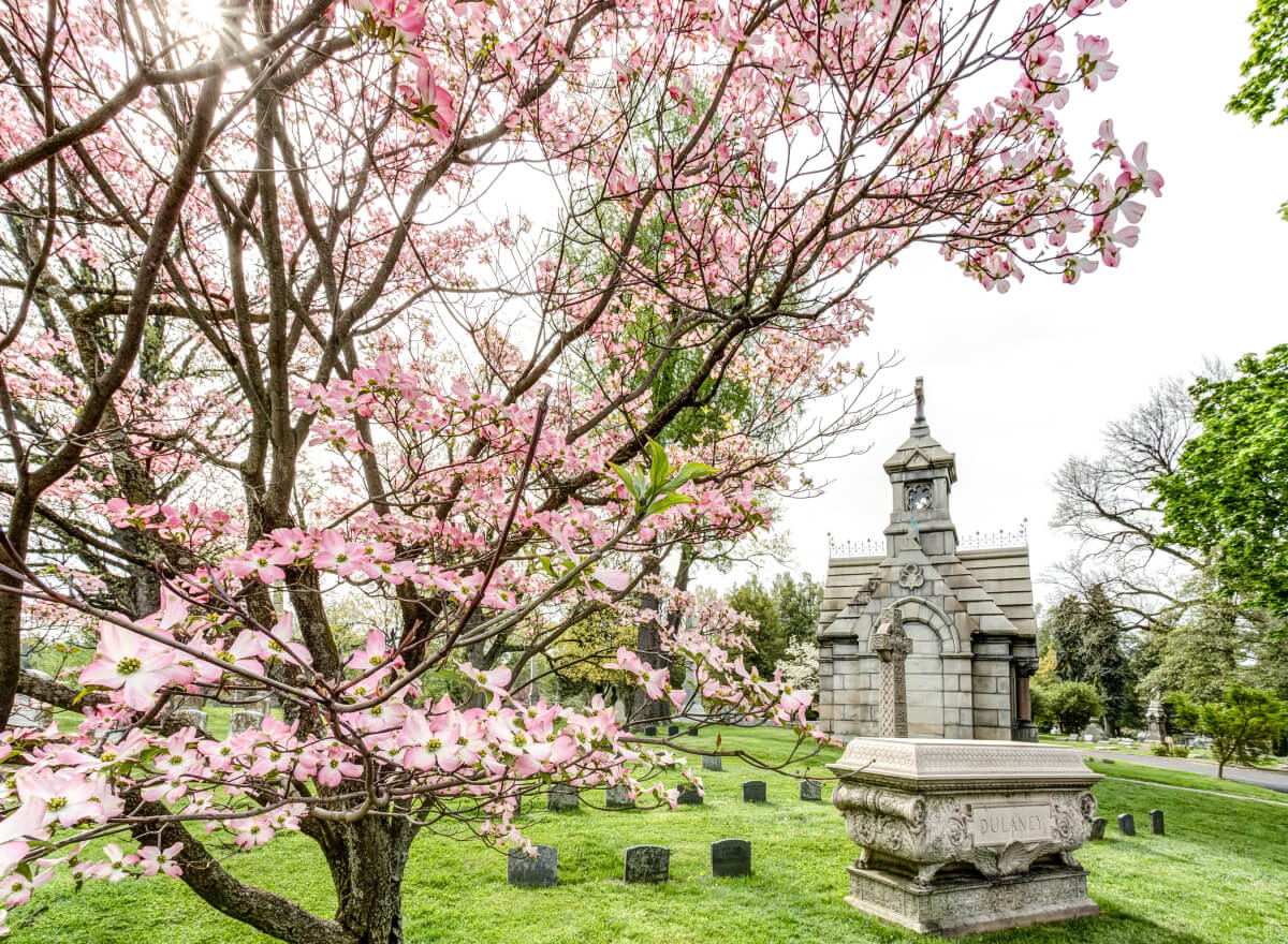 Cave Hill Cemetery - Image Gallery