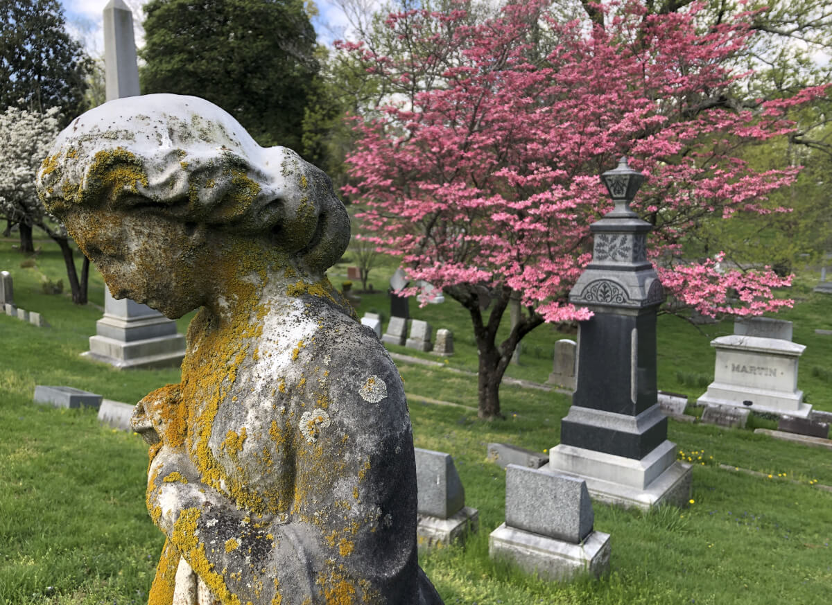 Cave Hill Cemetery - Image Gallery
