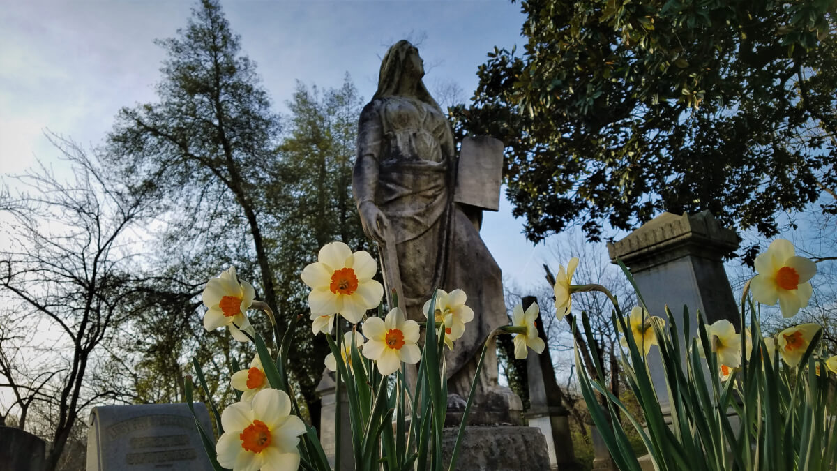 Cave Hill Cemetery - Image Gallery