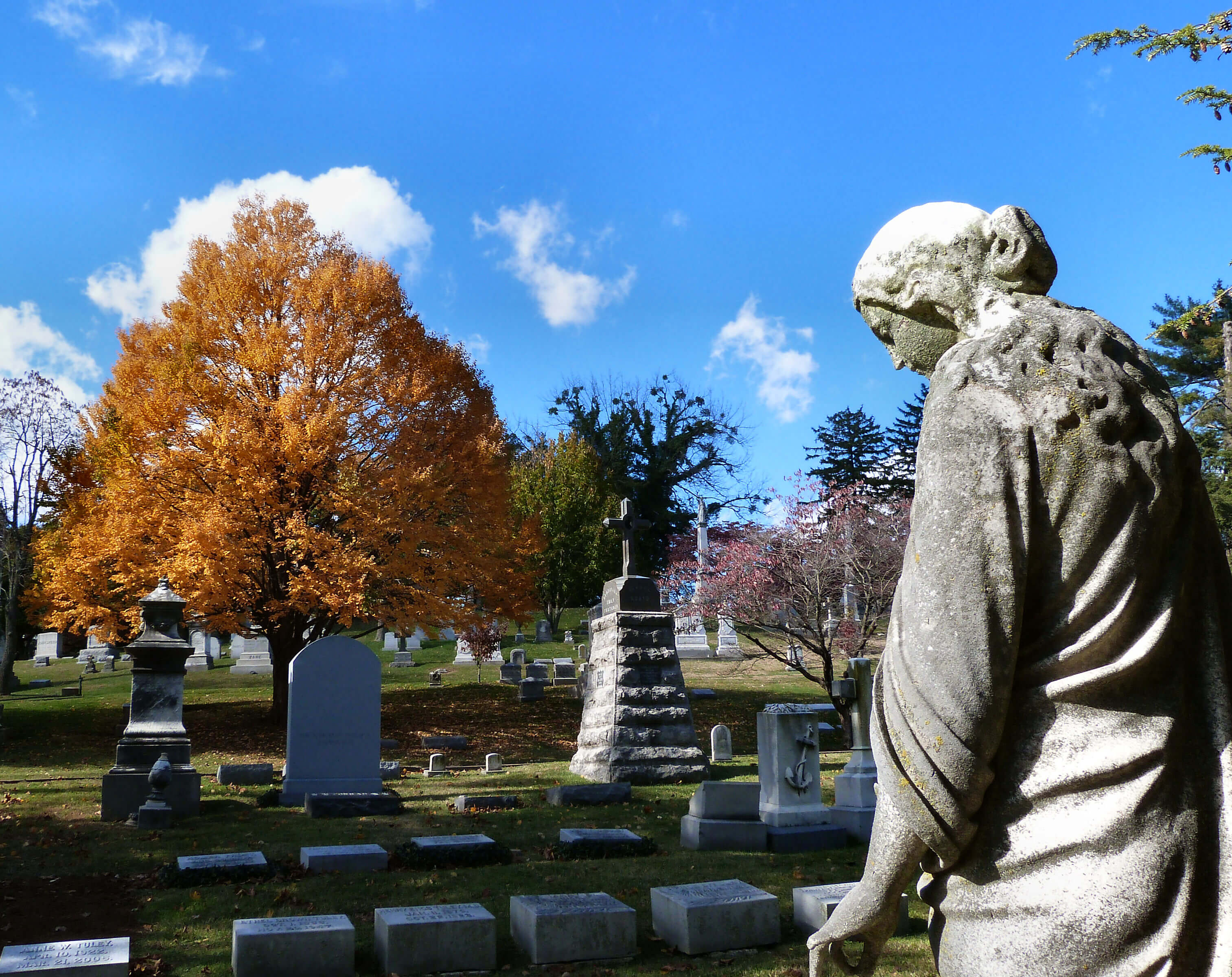 Cave Hill Cemetery - Image Gallery