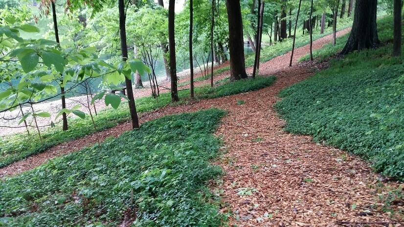 Cave Hill Cemetery - Scattering Garden